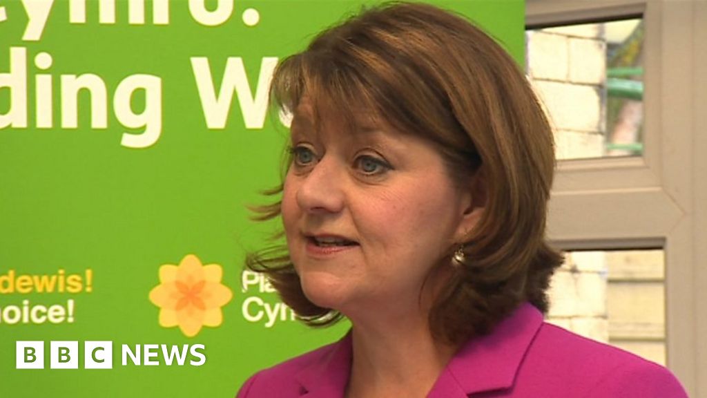 Vote Plaid Cymru for successful Brexit, says Leanne Wood - BBC News