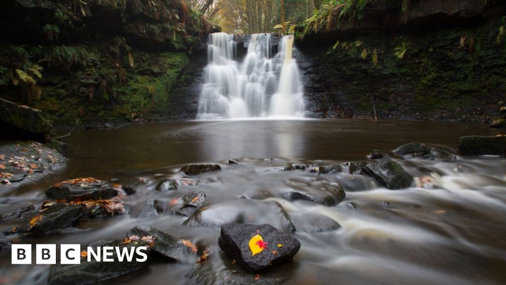 Goit Stock: Bingley beauty spot with woodland and waterfall for sale ...