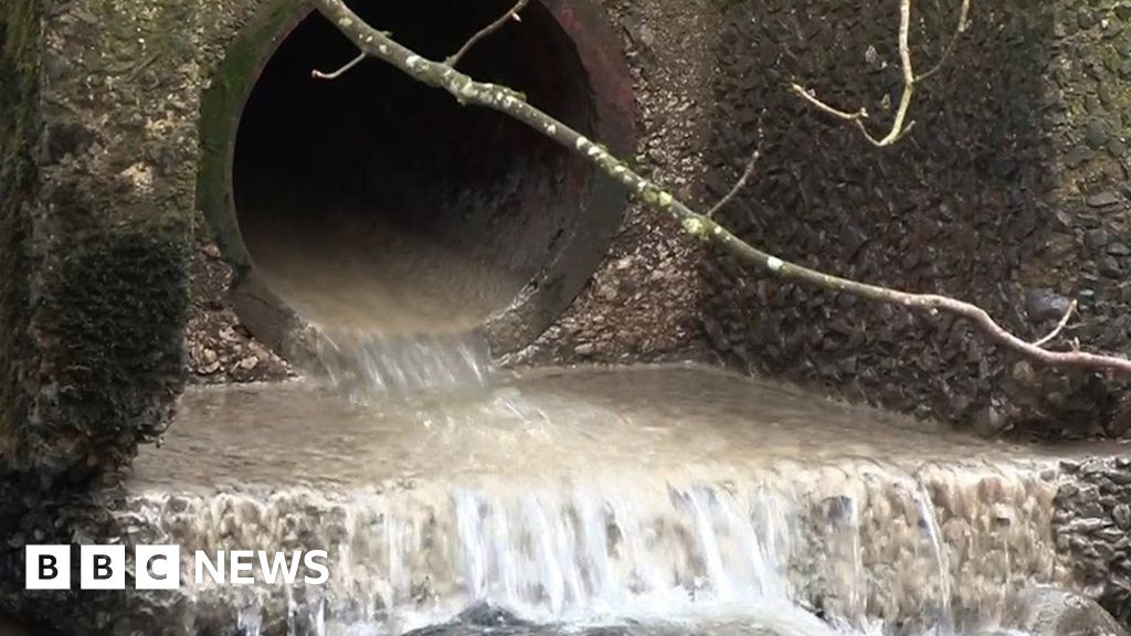 'High levels' of faecal bacteria found in River Kent near Kendal