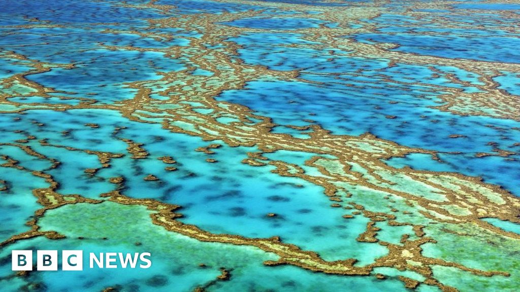 Australia to fund Great Barrier Reef restoration and protection