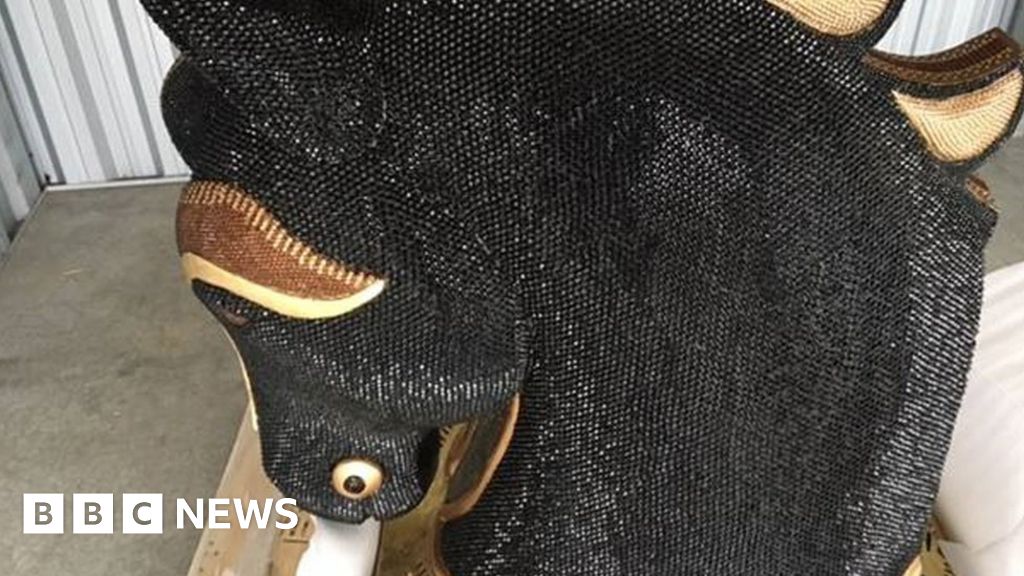 New Zealand record cocaine seizure in horse's head - BBC News