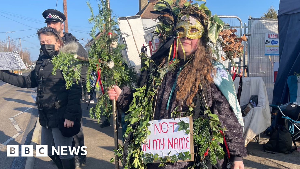 Rochford tree chopped down after 15-week housing protest - BBC News