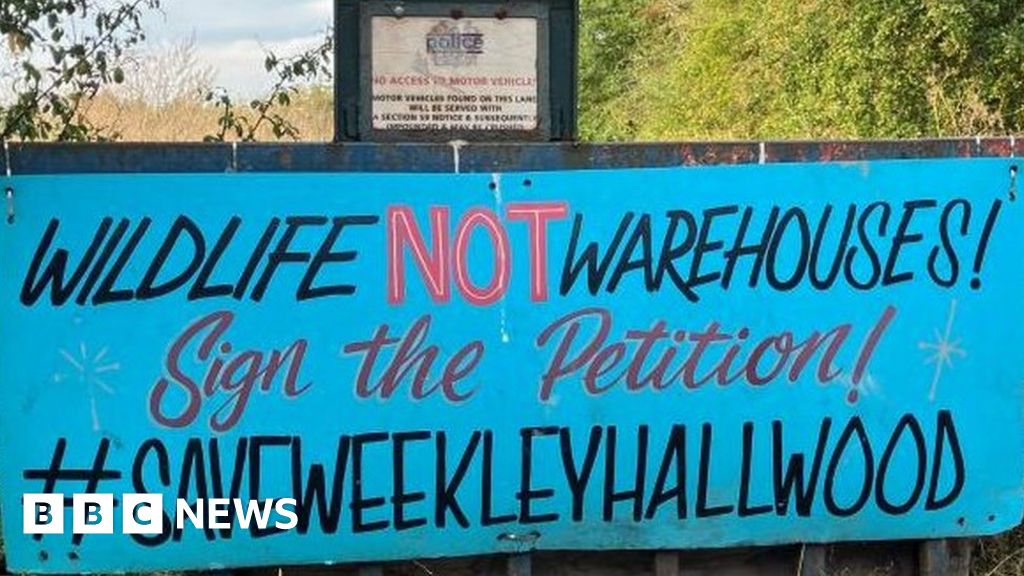 Weekley Hall Wood: Public inquiry begins into warehouse plans - BBC News