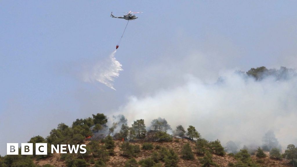 Second firefighter dies tackling Cyprus forest fires - BBC News
