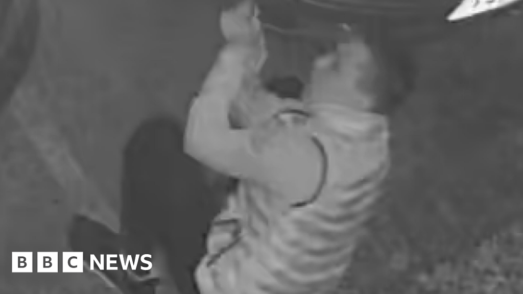 Cctv Image Released In Wellington Sexual Assault Inquiry