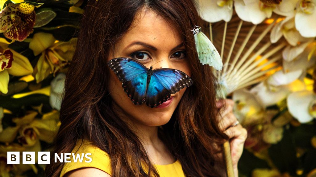 Striking photojournalism from around the UK - BBC News