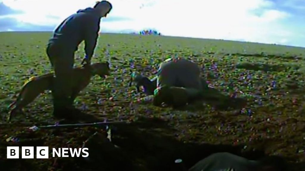 Four jailed after undercover badger baiting sting