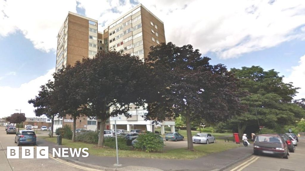 Southend tower block fall: Police release arrested man