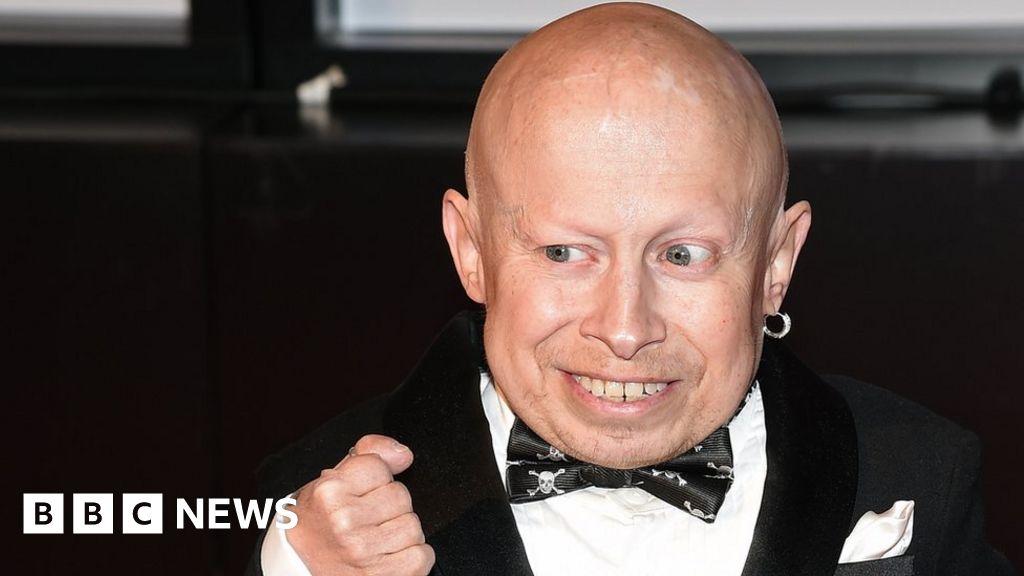 Mini-Me actor Verne Troyer being treated for alcoholism - BBC News