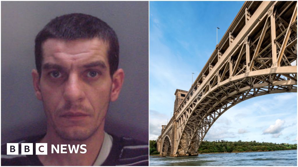 Britannia Bridge crash van driver jailed