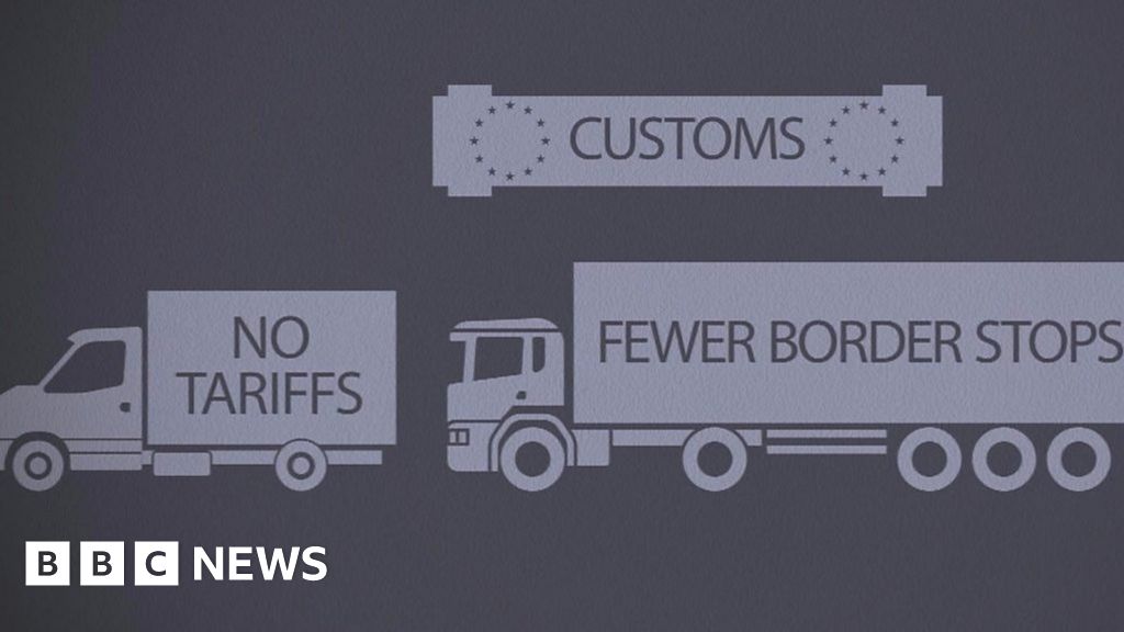 What is the customs union? A primer - BBC News