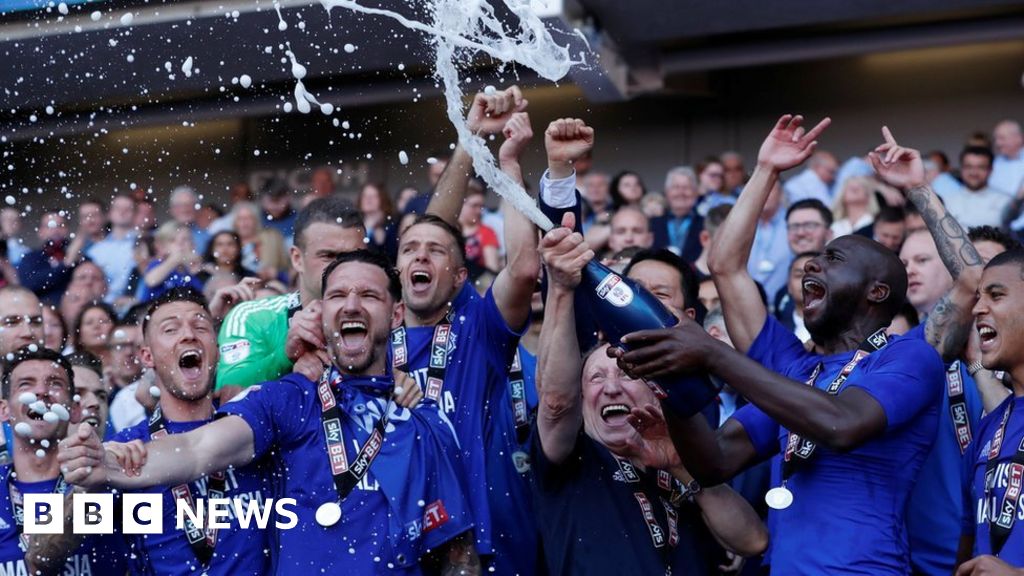 Cardiff City set for parade after Premier League promotion