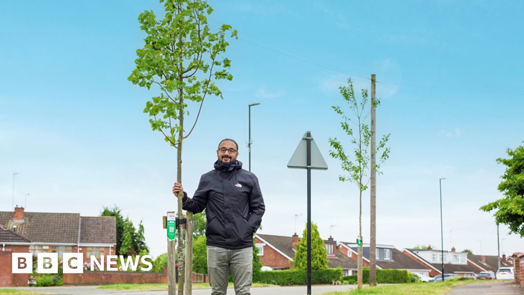 Leeds residents asked to help fund tree-planting scheme