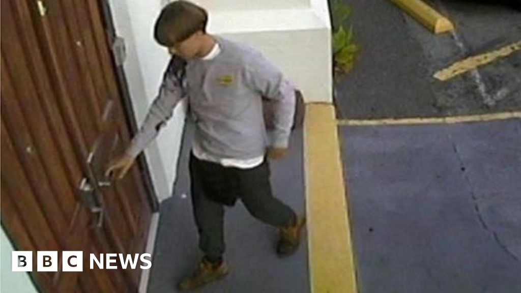 Dylann Roof trial: 'I did it,' church gunman says - BBC News