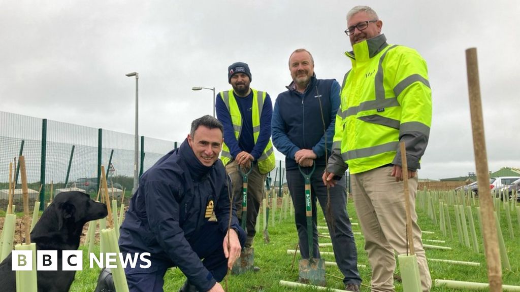 Trees feature in Cornwall naval station perimeter fence - BBC News