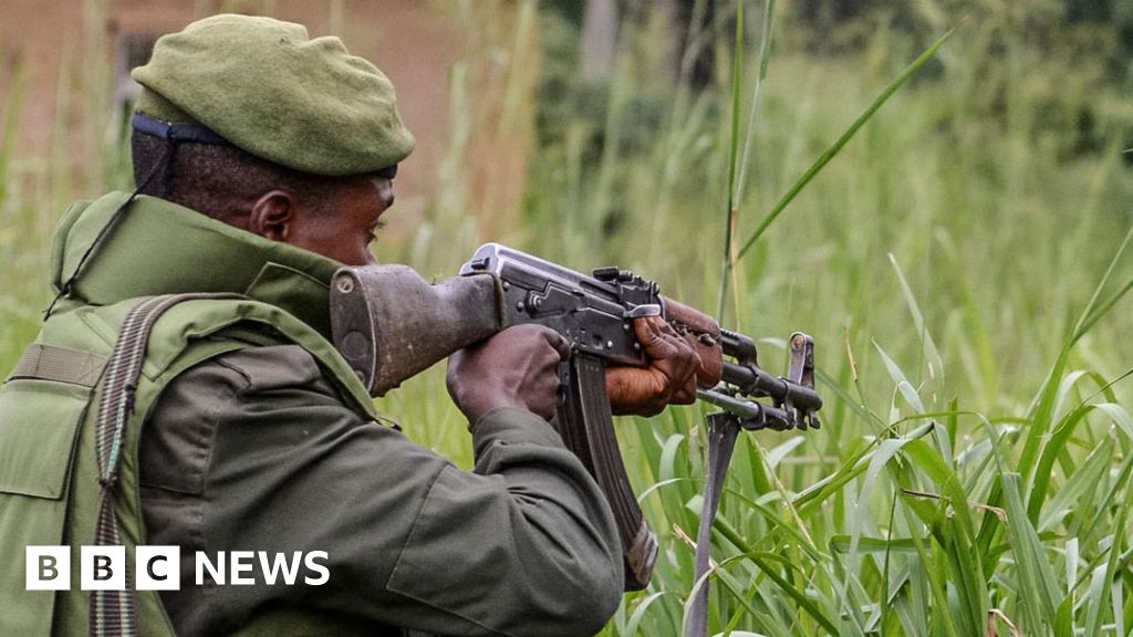DR Congo troops killed 'in Virunga park' by Rwandan army