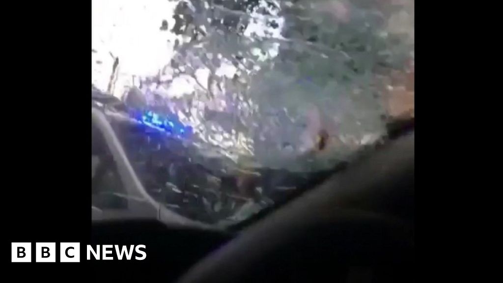 Video appears to show police officer smash car window - BBC News