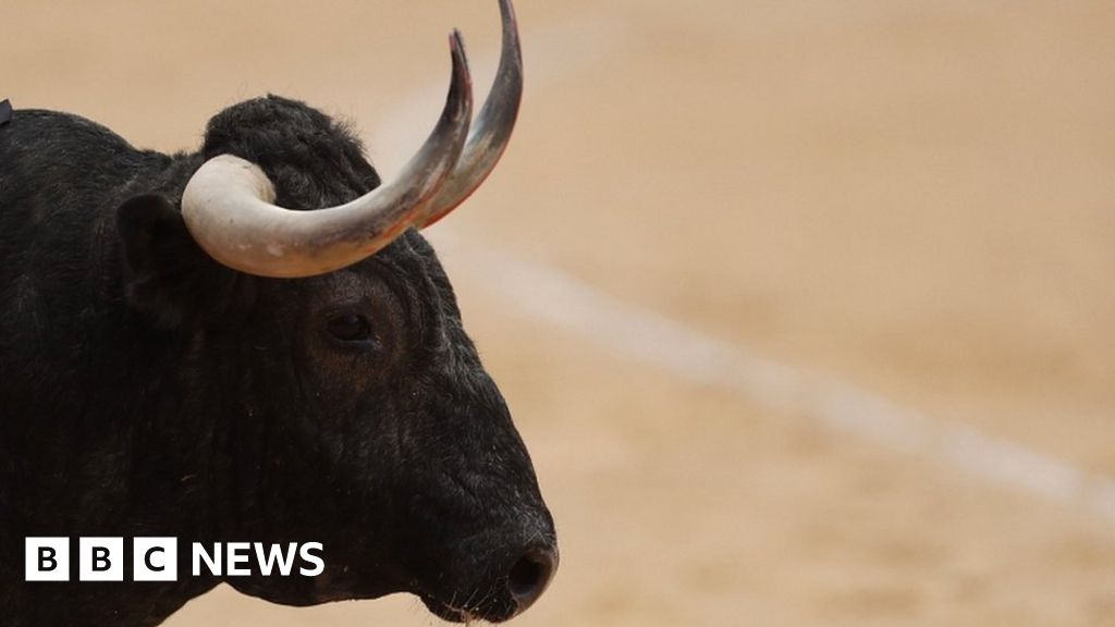 Bull kills French woman at Aigues-Mortes festival race - BBC News