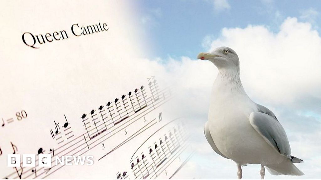 Seagull concerto 'came to me in dream' - BBC News