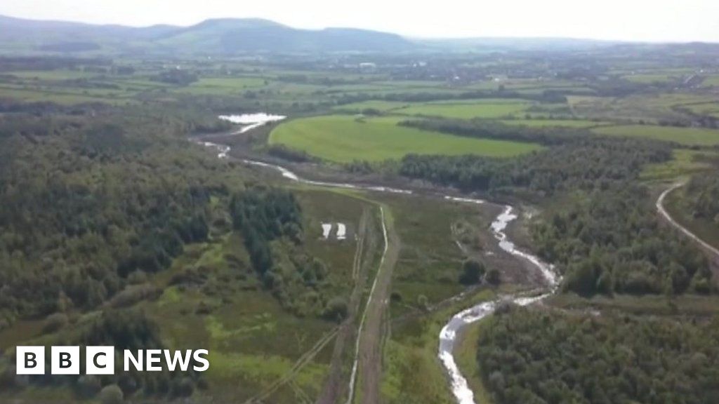 Saving Cumbria's plastic-lined river - BBC News
