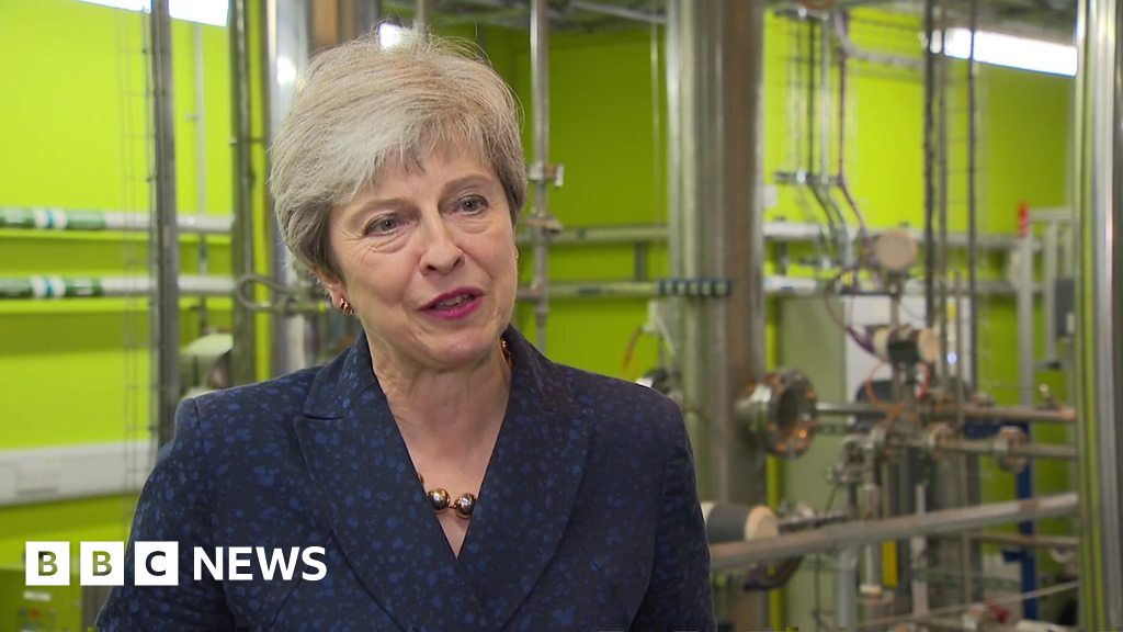 Theresa May: Net zero climate target 'ambitious and crucial' - BBC News