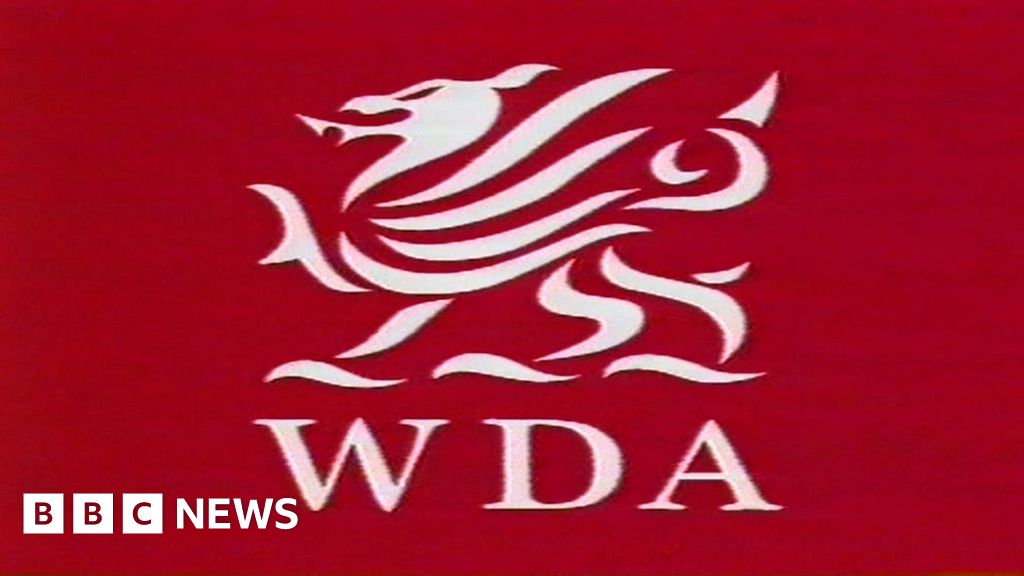 Economy could be boosted by new WDA, Plaid Cymru says - BBC News