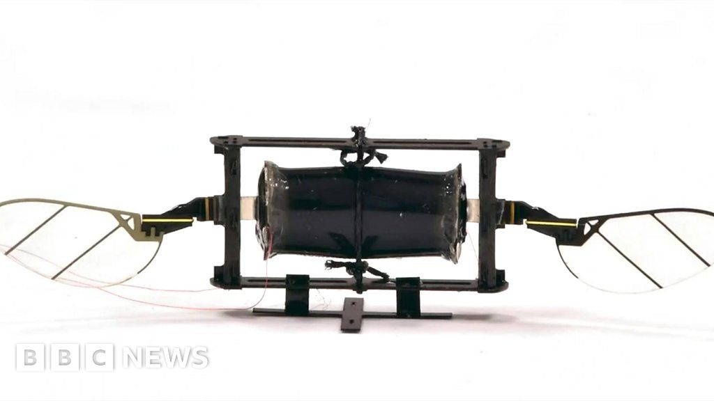 Insect-like flying drones and other technology news - BBC News
