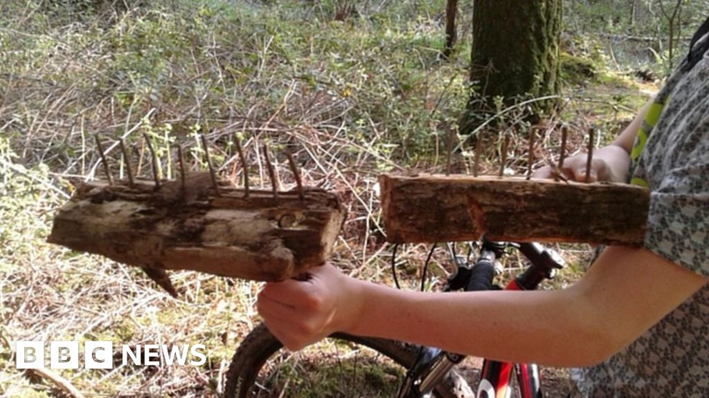 Nail traps 'a danger' to Lampeter cyclists and runners - BBC News