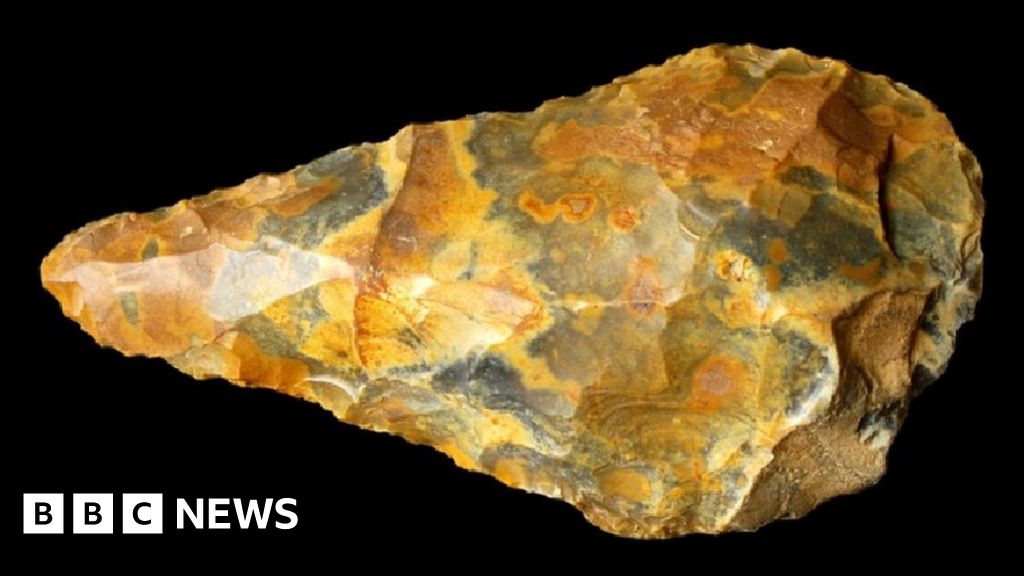 Corinium Museum objects to come out of storage - BBC News