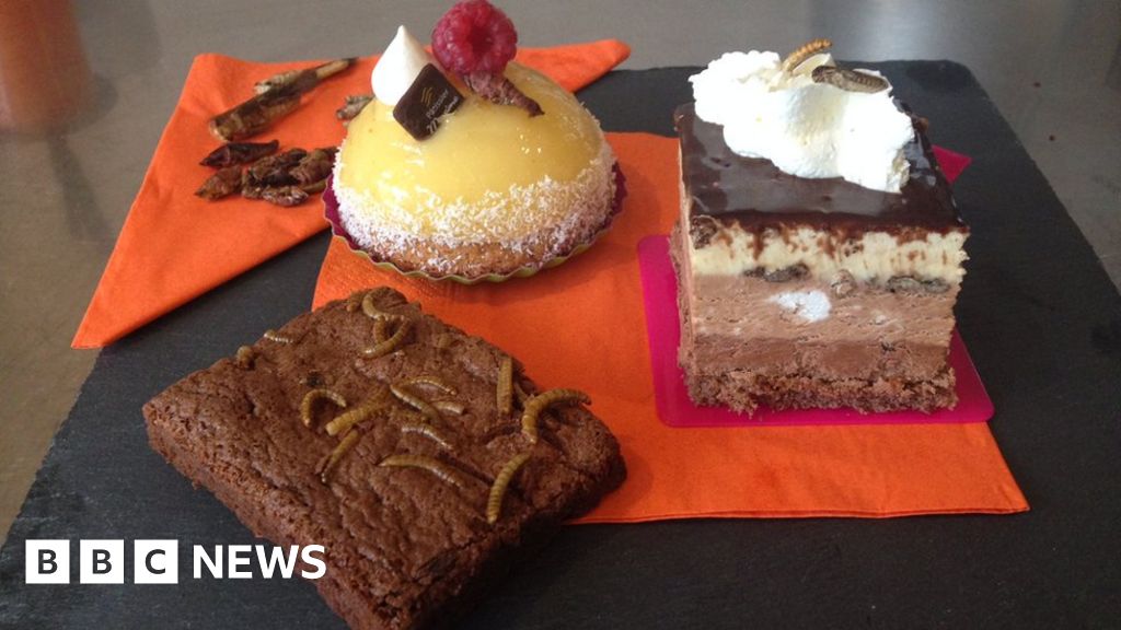 Edinburgh baker uses insects as cake ingredients - BBC News