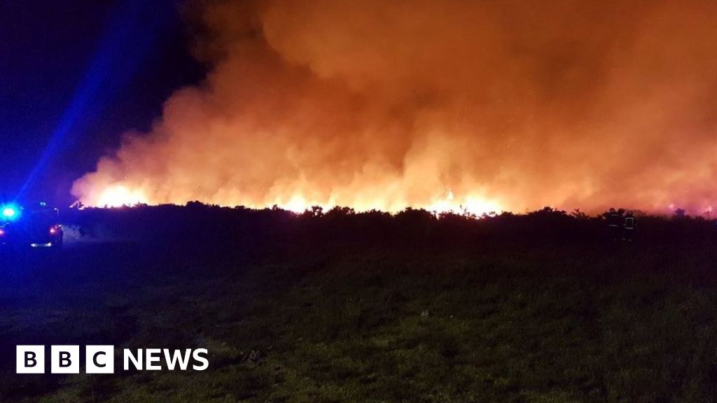 Gorse fire breaks out in 'tinder dry' New Forest - BBC News
