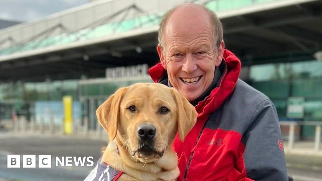 Endal the assistance dog: Successor 'just as talented' - BBC News