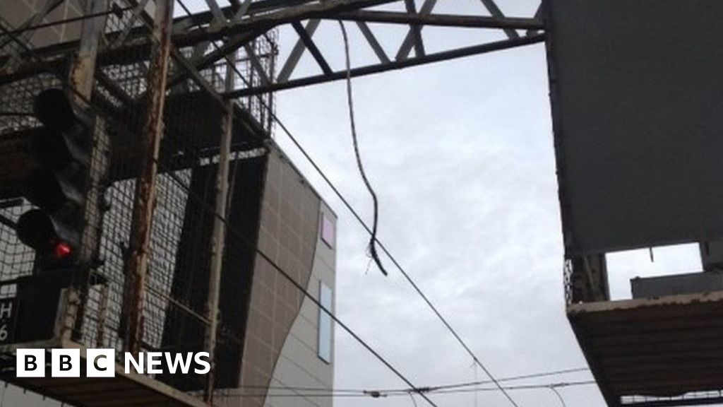 Thameslink and East Midlands rail disruption 'could last all day' - BBC ...