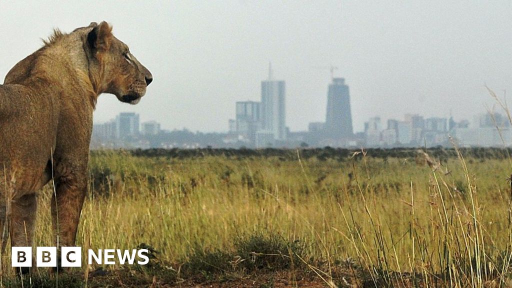 Could Kenya be building another 'lunatic line'? - BBC News
