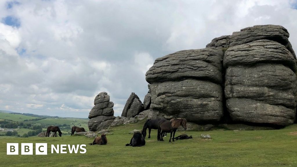 Dartmoor Rangers get body cams for safety amid threats - BBC News
