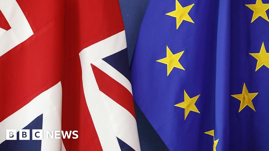 The Windsor Framework: Green and red lanes explained - BBC News