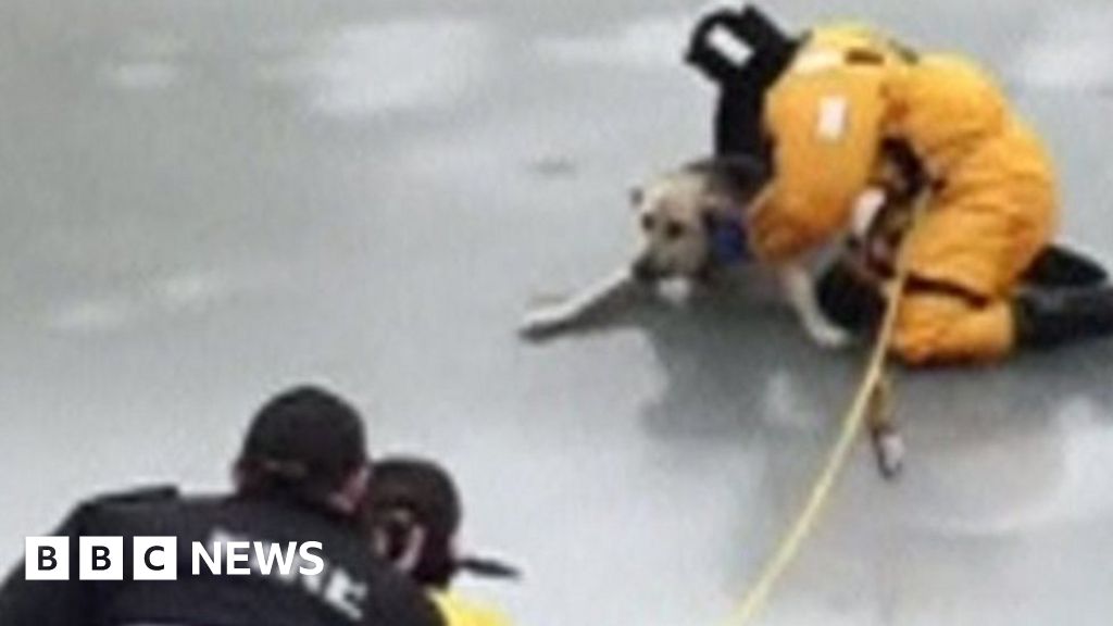 Ice breaks during dog rescue bid - BBC News