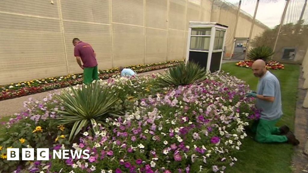 HMP Hull wins award for best garden prison garden - BBC News