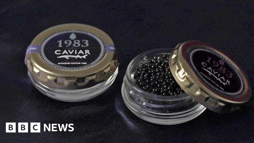 Japan's caviar set to give Russia a run for its money - BBC News