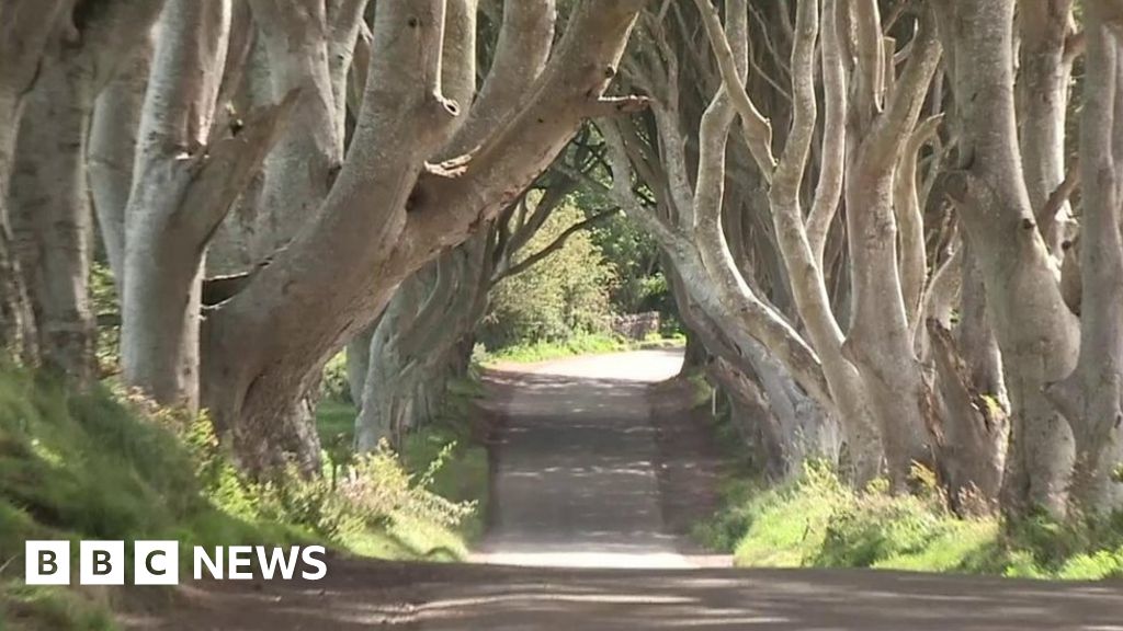 Game of Thrones: Traffic banned from Dark Hedges road
