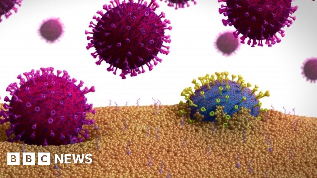 New Covid variant: Where do variants come from?