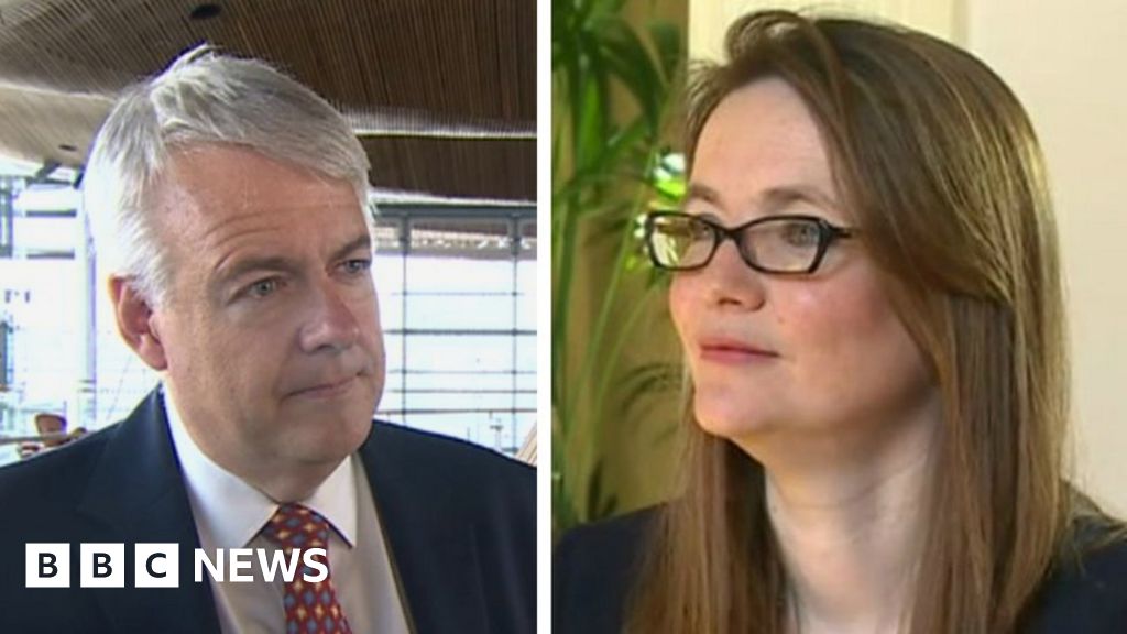 Welsh Government includes Lib Dem Williams at education - BBC News