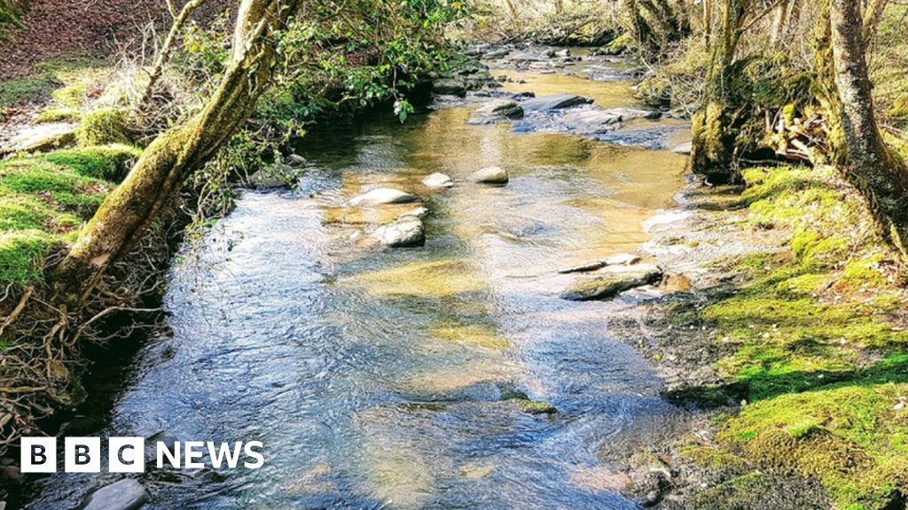 Clydach river rescue: Man dead and woman in hospital