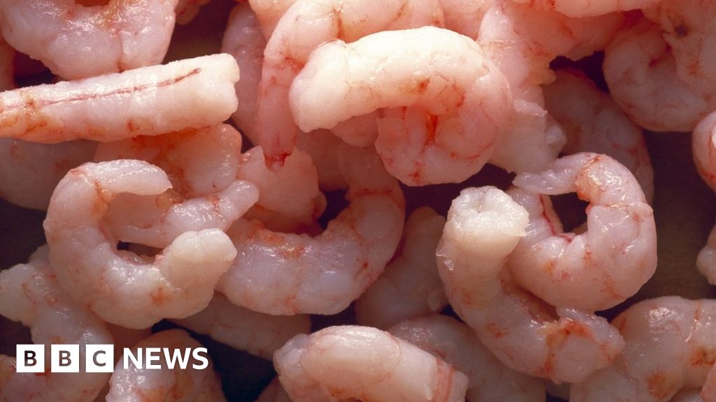 Pongy prawns distract War Horse theatregoers - BBC News