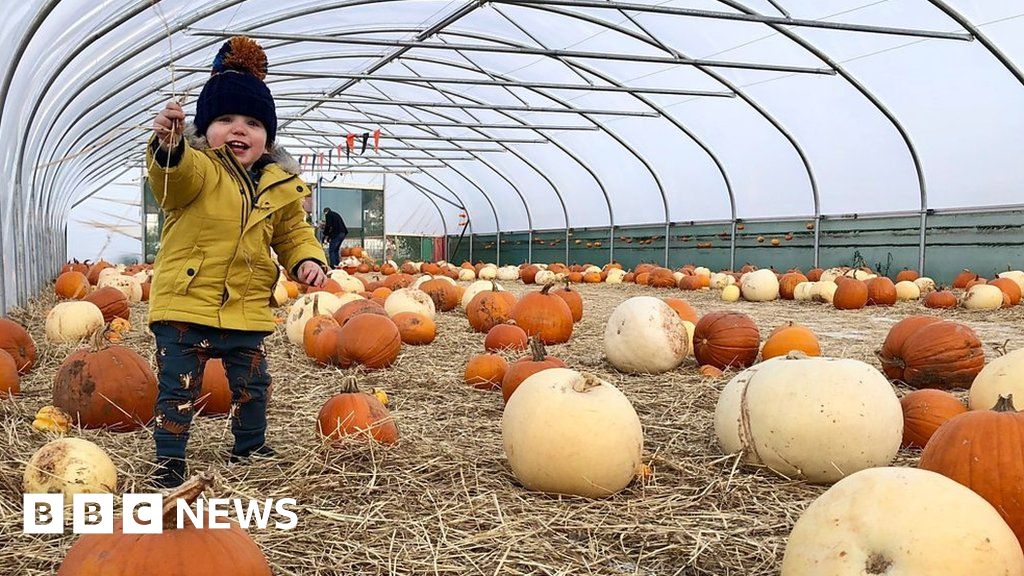 Halloween: How did we fall in love with pumpkins? - BBC News