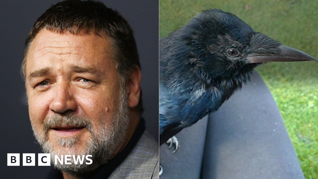 Russell Crowe tweets Russell Crow - BBC News