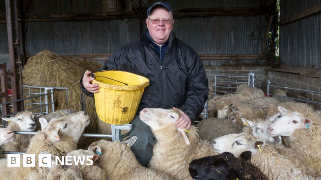 Farming therapy for mental health issues in Pembrokeshire - BBC News