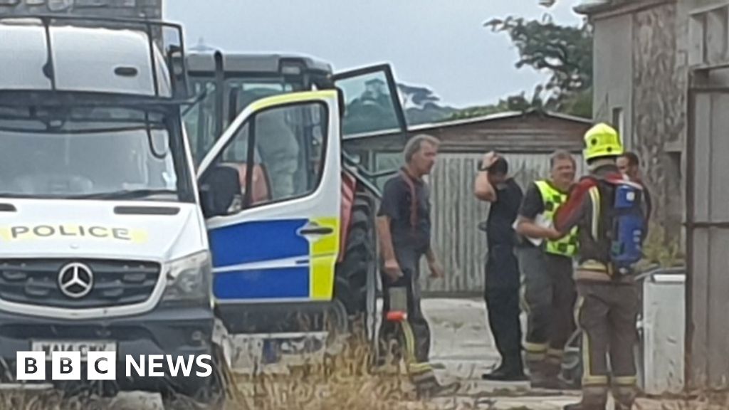 Man shot 28 badgers and kept them in freezer near Bodmin