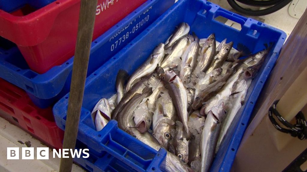 Cornwall fisherman gives part of catch to food bank - BBC News