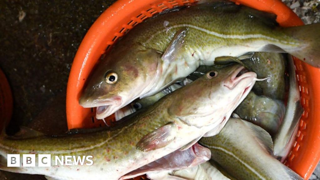 UK fishing industry to receive £75m modernisation boost